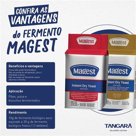 Fermento Biológico Seco Magest 500g Massas Doces