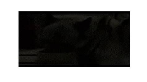 Classical Conditioning Bed Notes By Pavlov Pptx1pptx