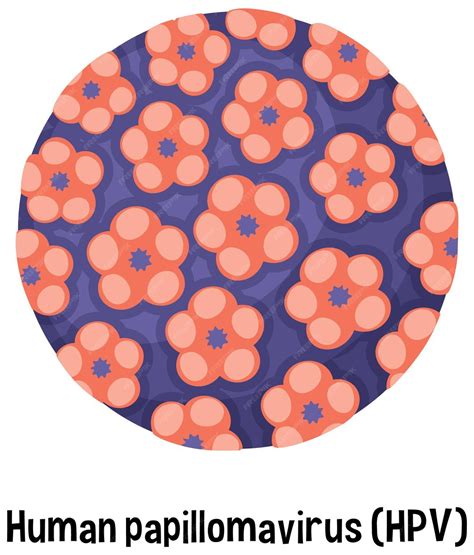 Premium Vector Human Papillomavirus Hpv With Text
