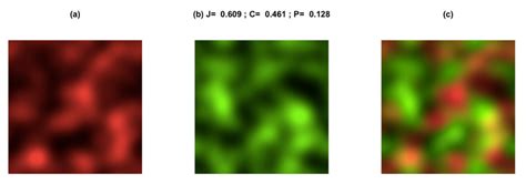 The Quantification Of The Colocalization Between The Two Concentrations Download Scientific