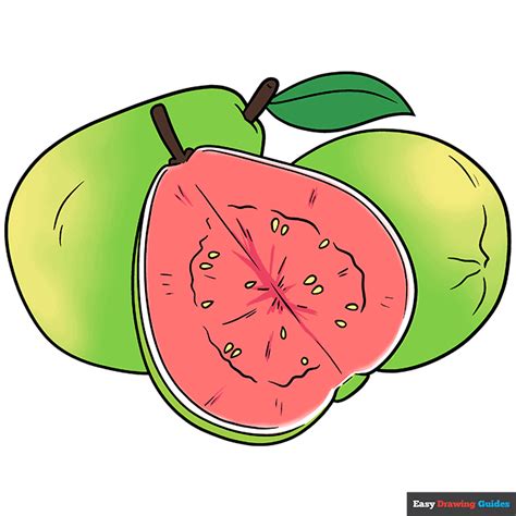 How To Draw A Guava Really Easy Drawing Tutorial