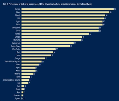 Analysis Of The Unicef 2024 Report Global Situation Of Fgm News En