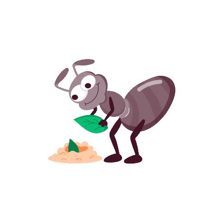 Ant Animated 