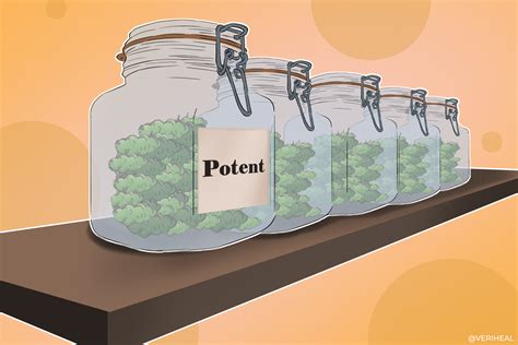 Is High Thc Potency A Thing Of The Past Rising Thc Concentrations In