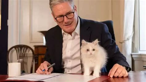 British Prime Minister Keir Starmers New Feline Friend Prince Joins Downing Street Times Now
