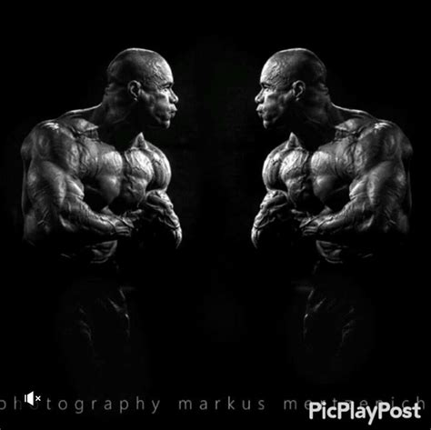 كمال الاجسام