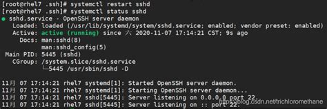 【linux】远程连接服务器（ssh） 服务器远程连接 csdn博客