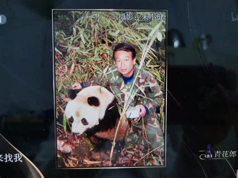 熊貓爸爸：潘文石先生 每日頭條