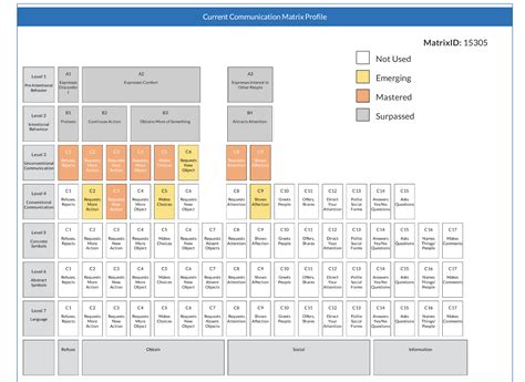 Evaluating Complex Communication Needs Using The Communication Matrix