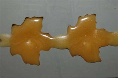 Maple Sugaring Making Soft Maple Candy Backyard Chickens Learn How