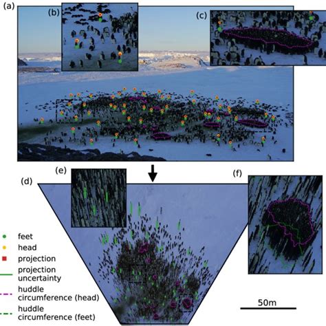 Camera Parameters Intrinsic Parameters A The Dimensions Of The Download Scientific Diagram
