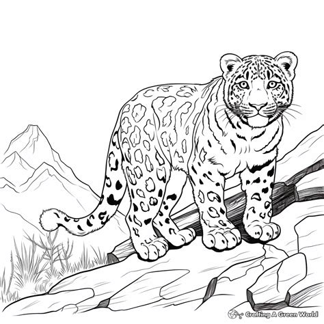 Free Printable Leopard Pictures Download Free Printable Leopard Pictures Png Images Free