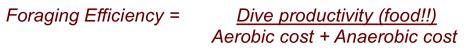 Foraging Efficiency Marine Mammal Energetics