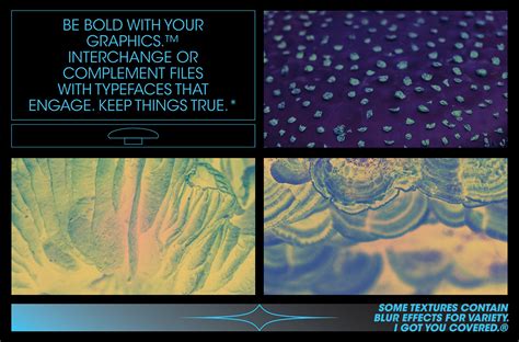 Fungi Textures Pack Behance