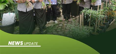 Berita Brmp Bengkulu Brmp Bengkulu Kembali Panen Kangkung Di Taman Agro Modern