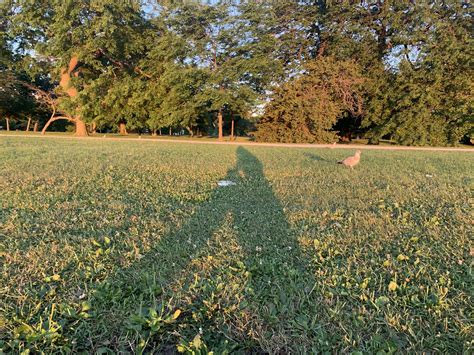 Grace Coffey — Days Of Quarantine