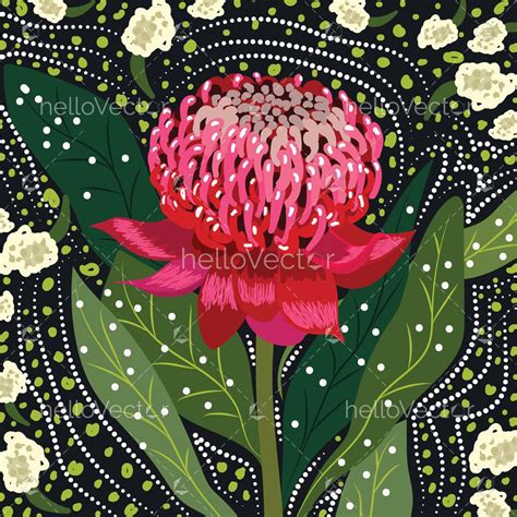 Aboriginal Art Of Waratah Flower Download Graphics And Vectors