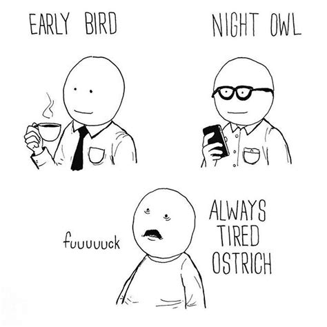 Whats Your Chronotype