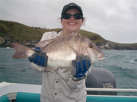 Sw Grassy Sweetlip Fishing Fishing Wa Fishing