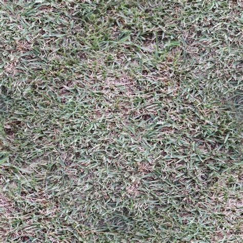 Wild Grass Texture To Download Manytextures