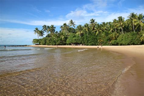 Guía Para Viajar A Bahía Brasil Qué Hacer Cuándo Ir Y Mucho Más