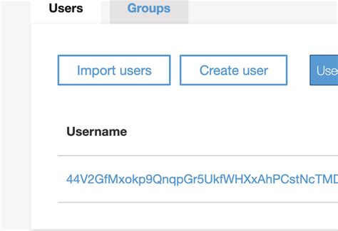 Show Actual Username In Users Instead Of Empty · Issue 314 · Aws