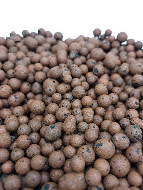 Leca Balls Expanded Clay Pebbles 4 Cups 1 Quart Etsy