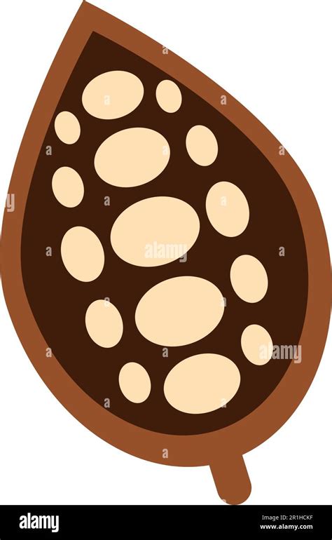 Cocoa Bean Processing Stock Vector Images Alamy