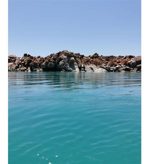 Huawei P Pro Is The Answer To Your Photography Woes Man Of Many