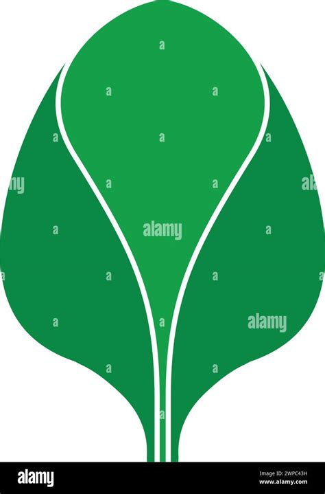 Leaf Logo Icon Vektor Illustration Design Stock Vector Image And Art Alamy