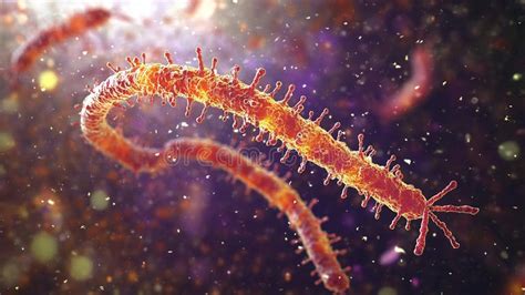 Horizontal Gene Transfer In Bacteria Through Transformation