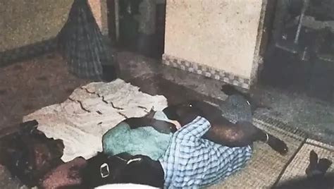 Sex Mit Stiefschweine Zu Hause Xhamster