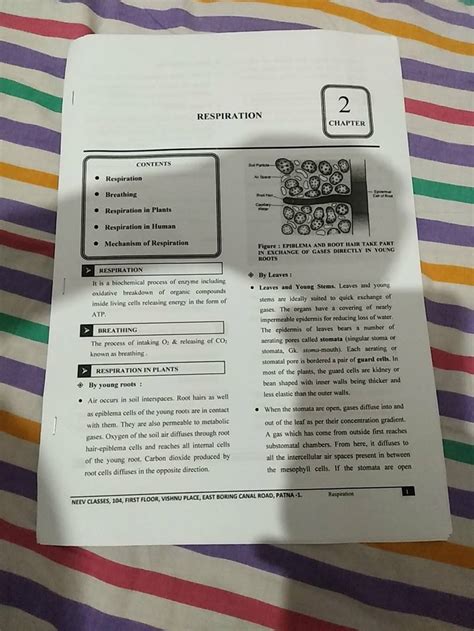 Neev Classes 104 First Floor Vishnu Place East Boring Canal Road Pat