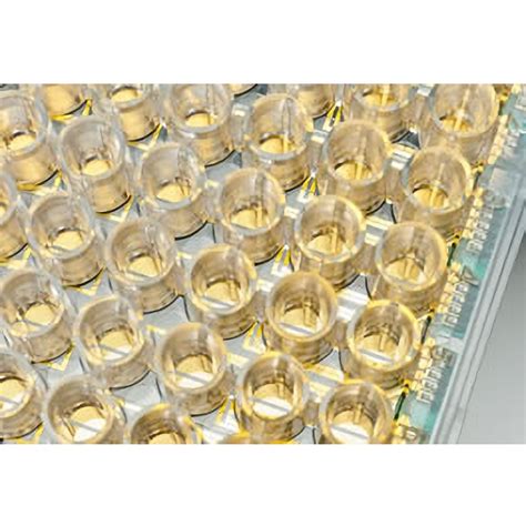 E Plate 96 View For Xcelligence Rtca Spmpesight 1x6 Plates Your