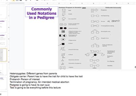 The Human Pedigree Flashcards Quizlet