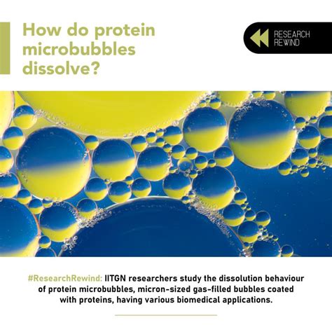 Iitgn Researchers Study Protein Microbubbles For Biomedical Use