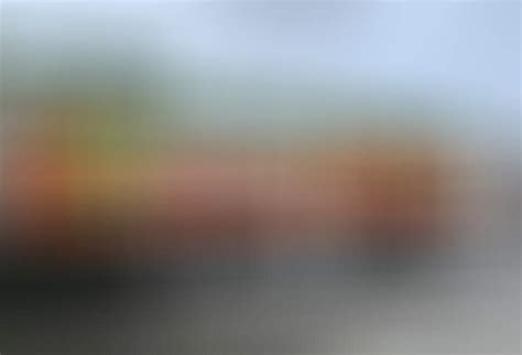 Verduyn Uw Gespecialiseerde Groententeler