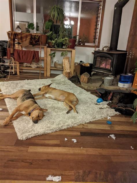 Utwinkle Cave ・ Popularpics ・ Viewer For Reddit