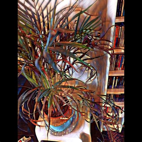 Palmier Dintérieur Effet By Chacornac