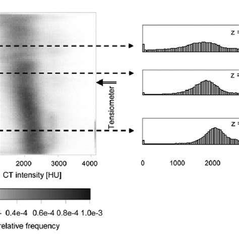 Projection Of Longitudinal Relaxation Time T1 Maps Of Slices 5 6 Download Scientific
