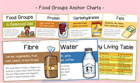 Food Groups A Balanced Diet Anchor Charts Ks2 Humans Primary Science