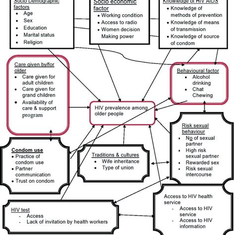 Conceptual Framework On Factors Showing The Commonness Of Hiv In Download Scientific Diagram