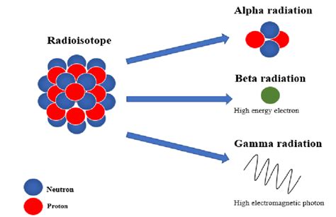 Types Of Radioactive Decay Radioactivity Ens