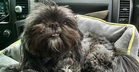 That Under Bite Imgur