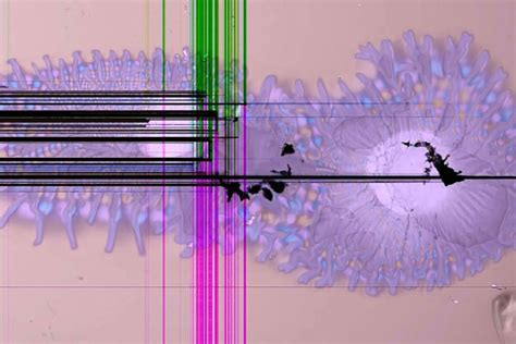 Saturation Trails The Acid Assay