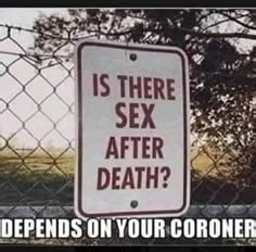 Crude Memes Sarcastic Humor Stupid Funny Memes Rude Jokes Hilarious