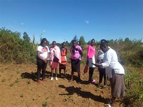 515 Kenia Solasa Gemüseanbau Marie Schlei Verein E V