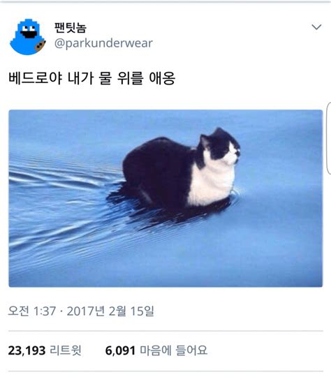 오늘의 꼬들