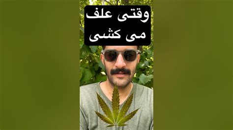 🔞وقتی ماری جوانا می کشی چه اتفاقی برات میوفته؟shorts Short ماریجوانا دانستنی سلامتی ایران