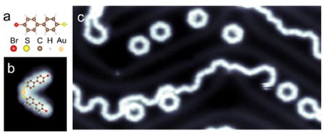 Synthesis Of Thioether Polymers On Au111 Mapping Ignorance